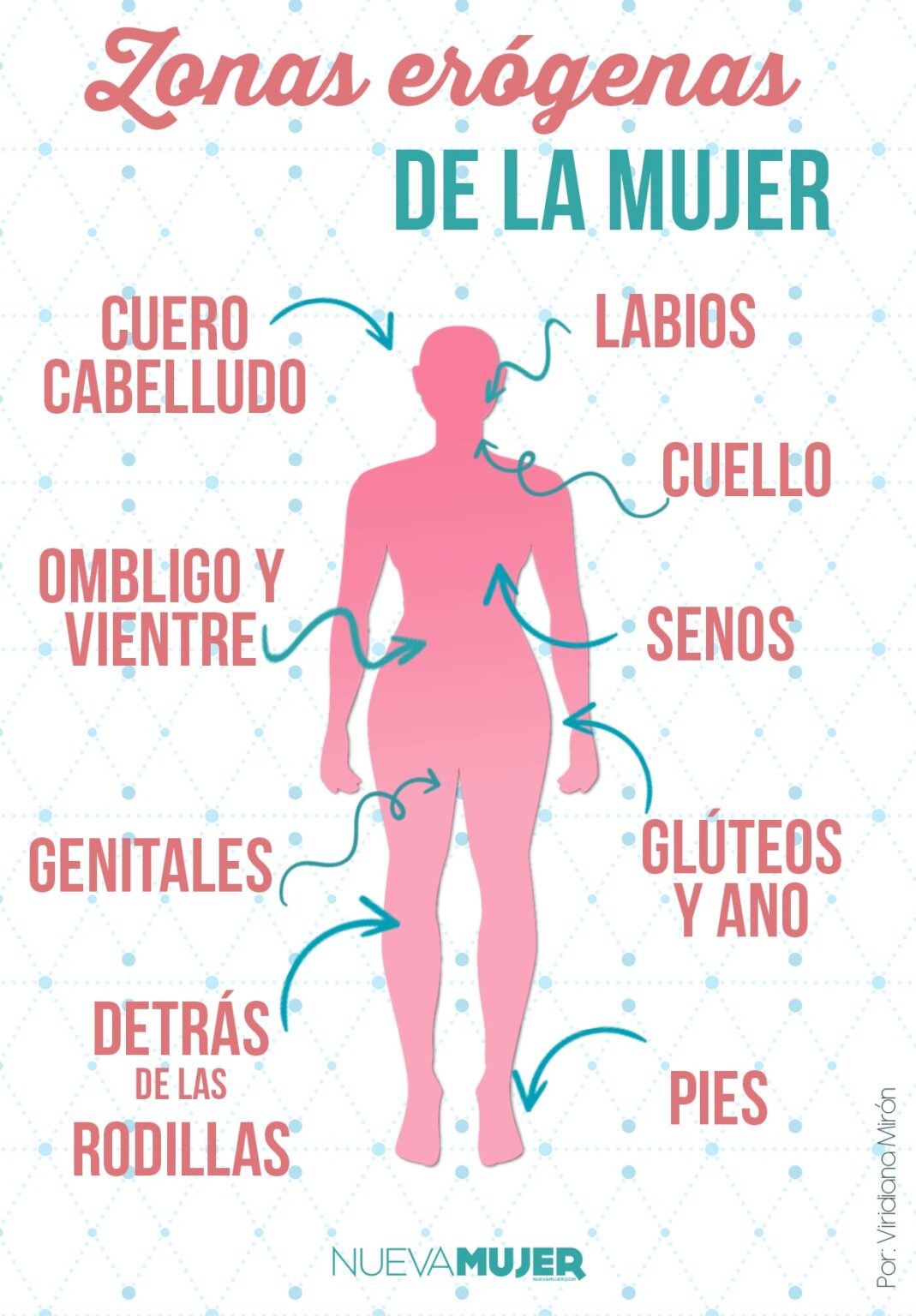 ¿Conoces todas tus zonas erógenas? - MaJu Studios » Modelos WebCam Manizales